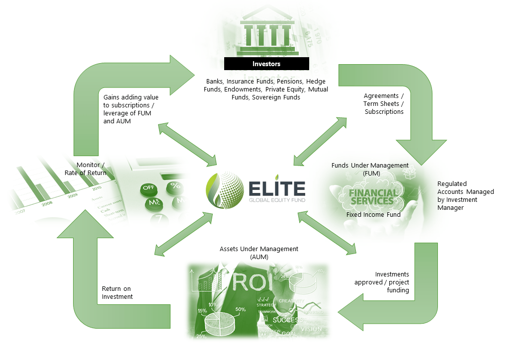 Fund - Elite Global Equity Fund